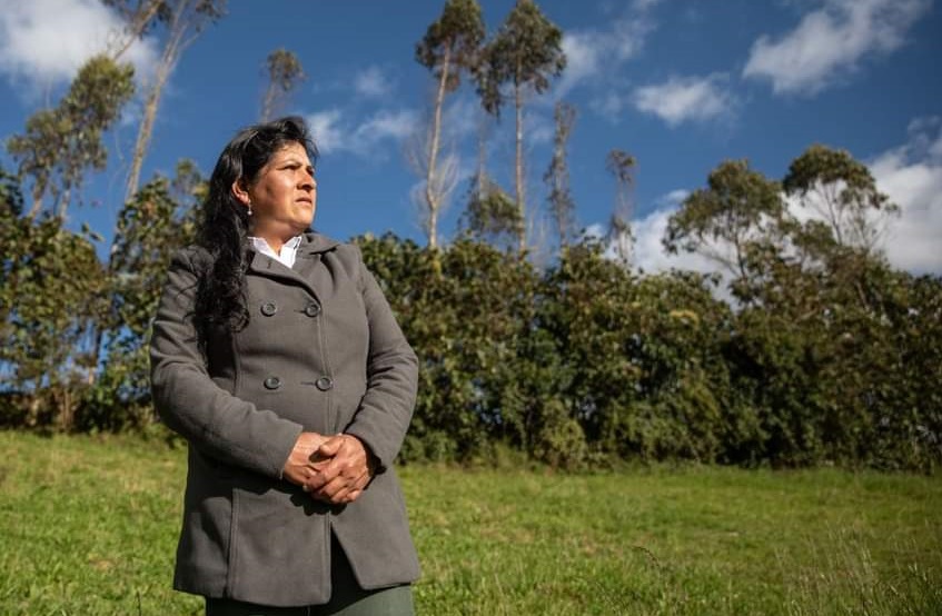 Conoce a Lilia Paredes Navarro, la esposa del presidente electo Pedro ...