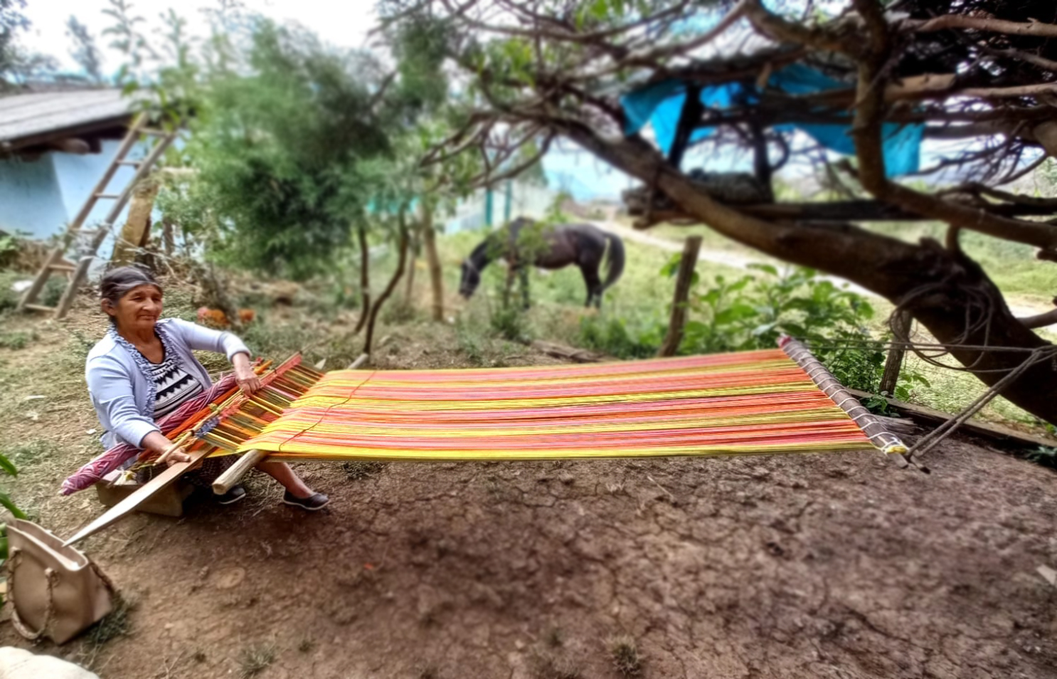 Piura: Artesanas representarán en telares diseños de cultura Vicús y de ...