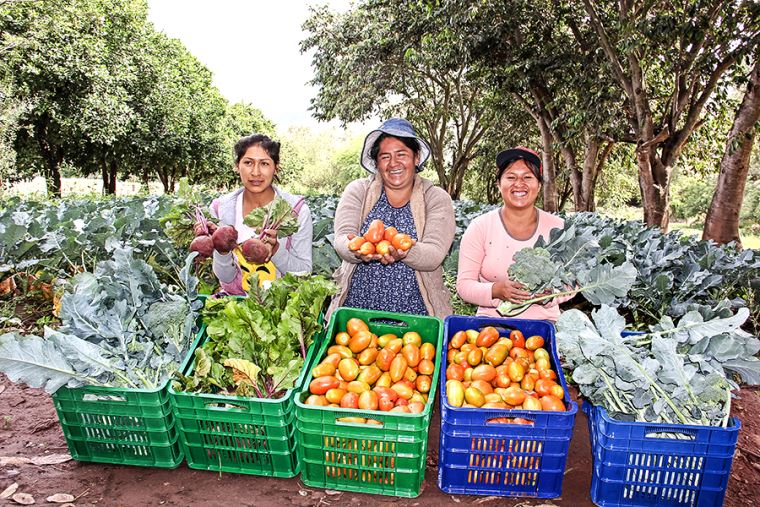 Perú Tres De Cada Diez Productores Agropecuarios Son Mujeres