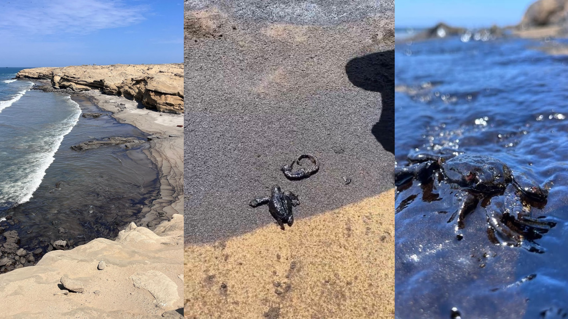 Derrame de petróleo en Lobitos: MINAM declara en emergencia ambiental a ...