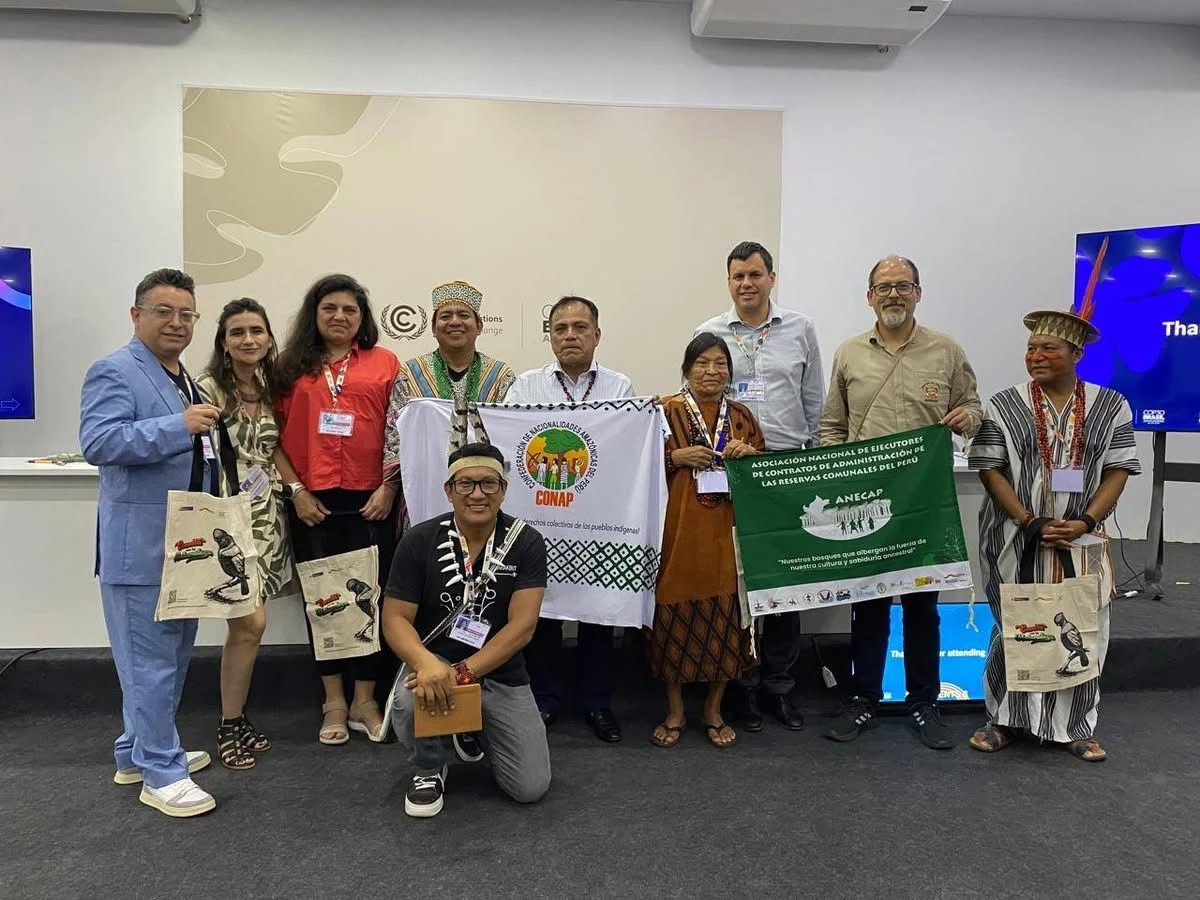COP30: Perú presenta modelo pionero de REDD+ liderado por pueblos indígenas - Cutivalú Piura